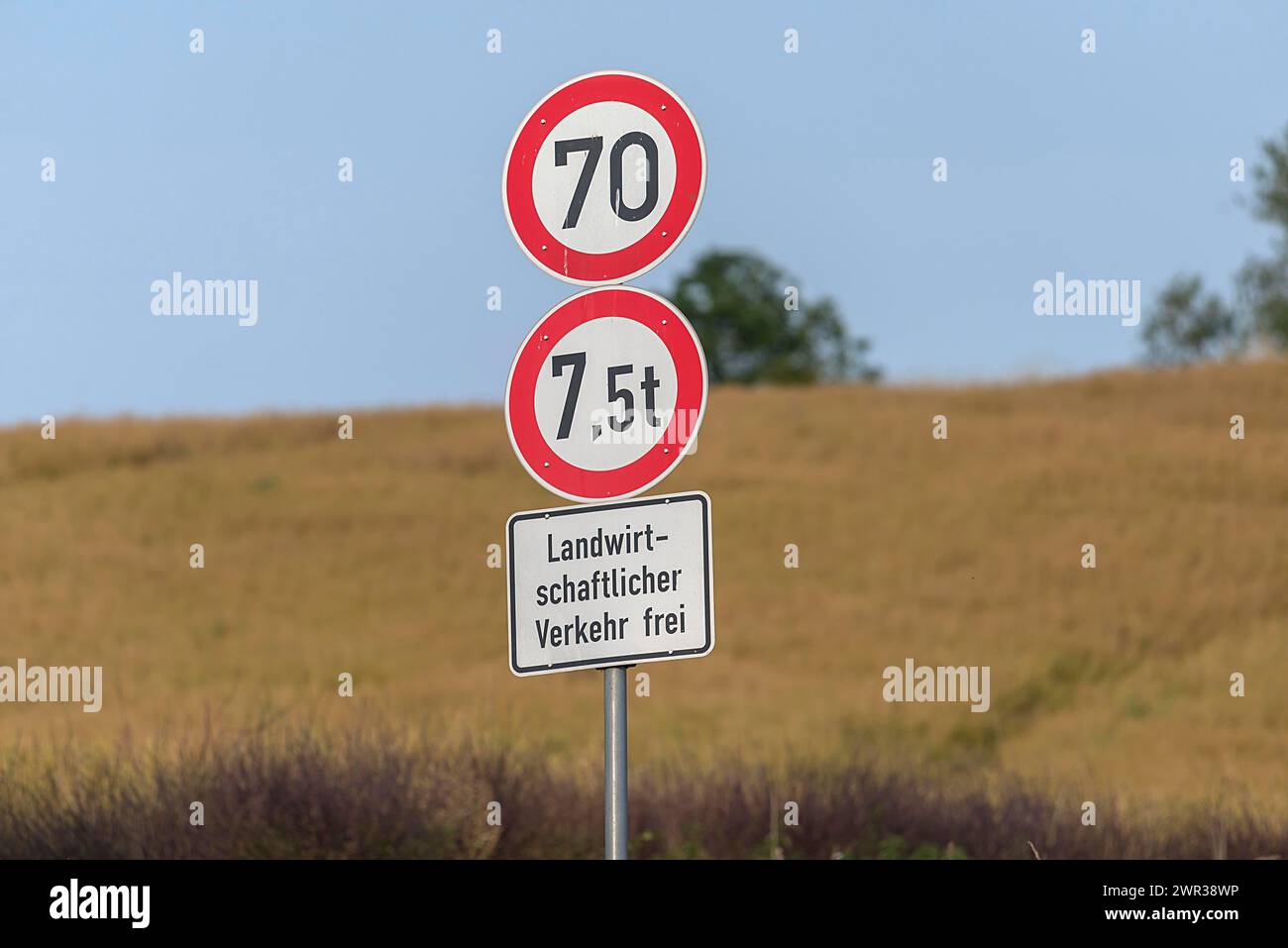 Traffic signs in front of a country lane, Mecklenburg-Vorpommern ...