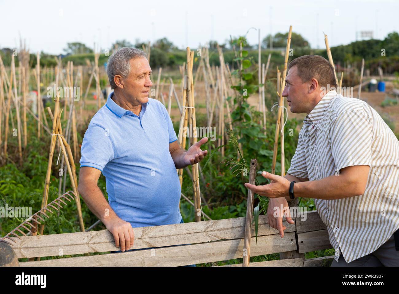 Two male farmers talking outside next to wooden fence on background ...