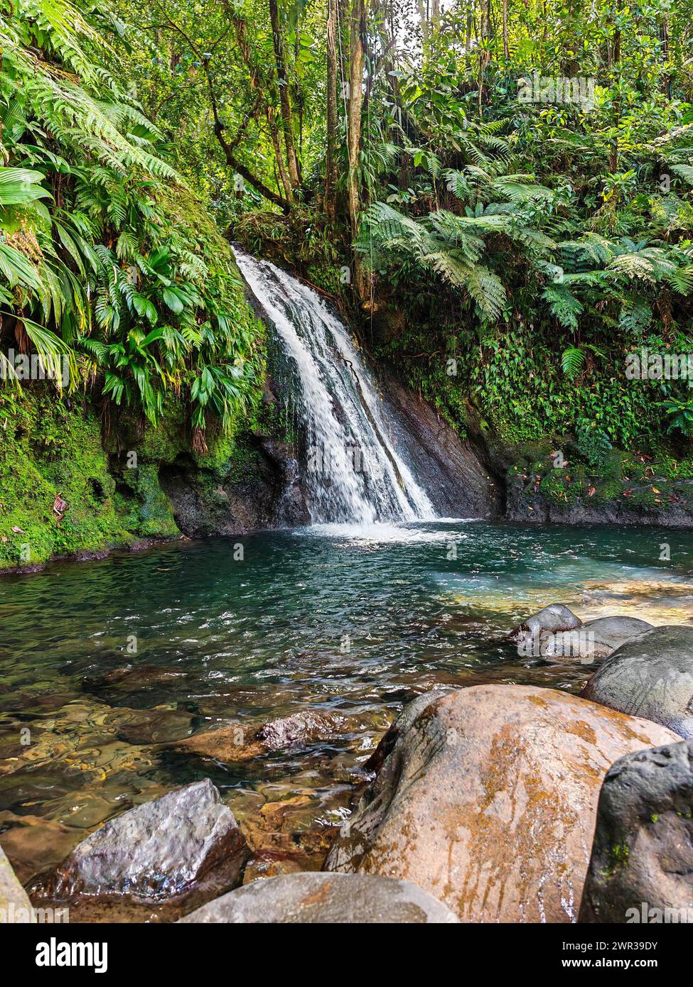 Pure nature, a waterfall with a pool in the forest. The Ecrevisses ...