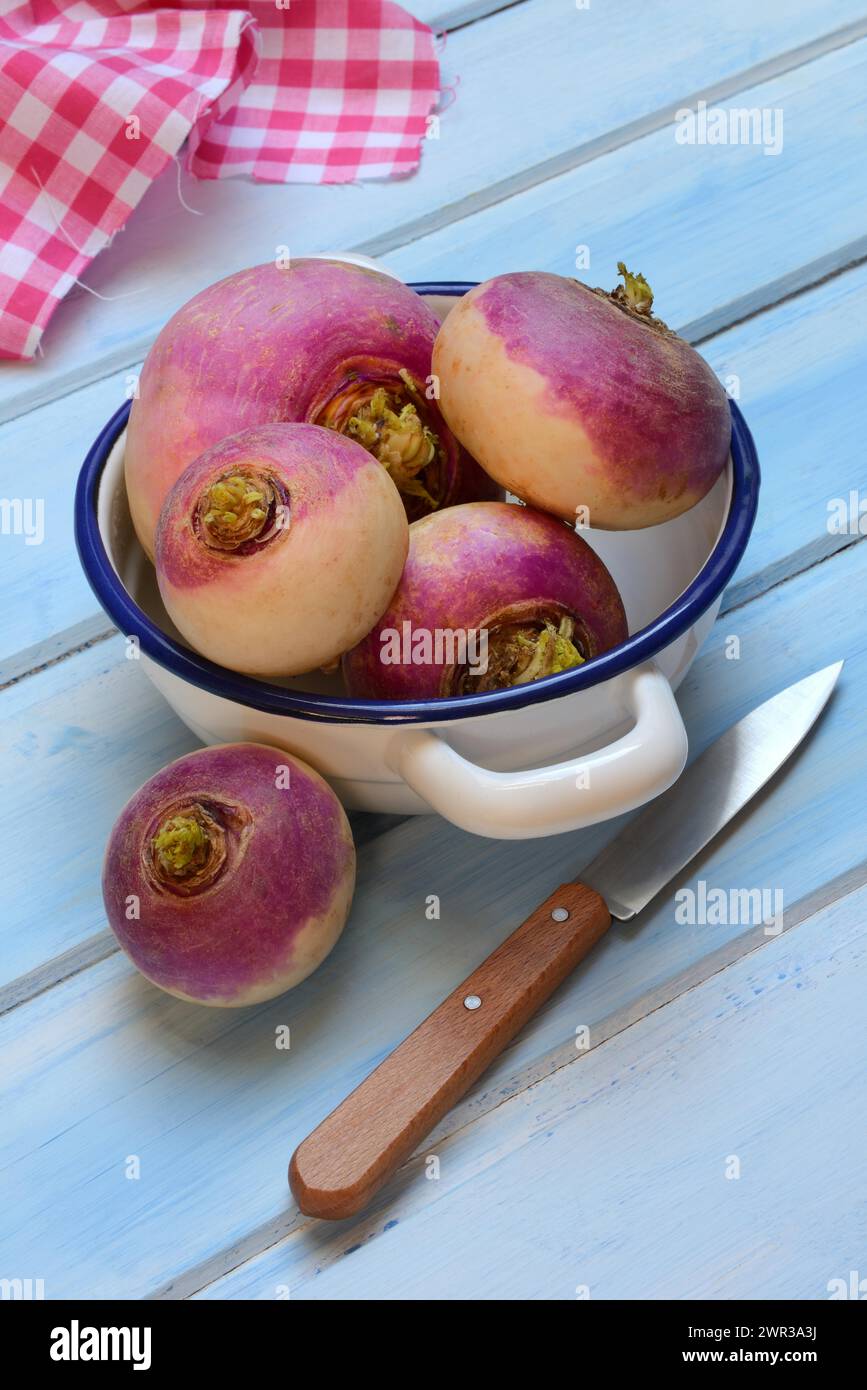 Purple beetroot in pot with knife, Brassica rapa Stock Photo - Alamy