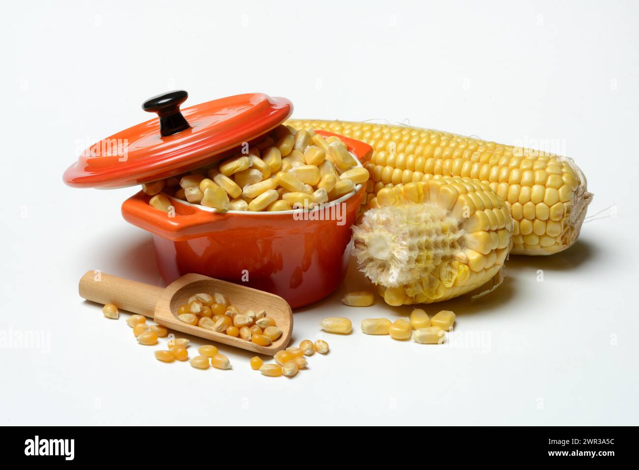 Fresh maize kernels in pots and dried maize kernels in scoops, corn ...