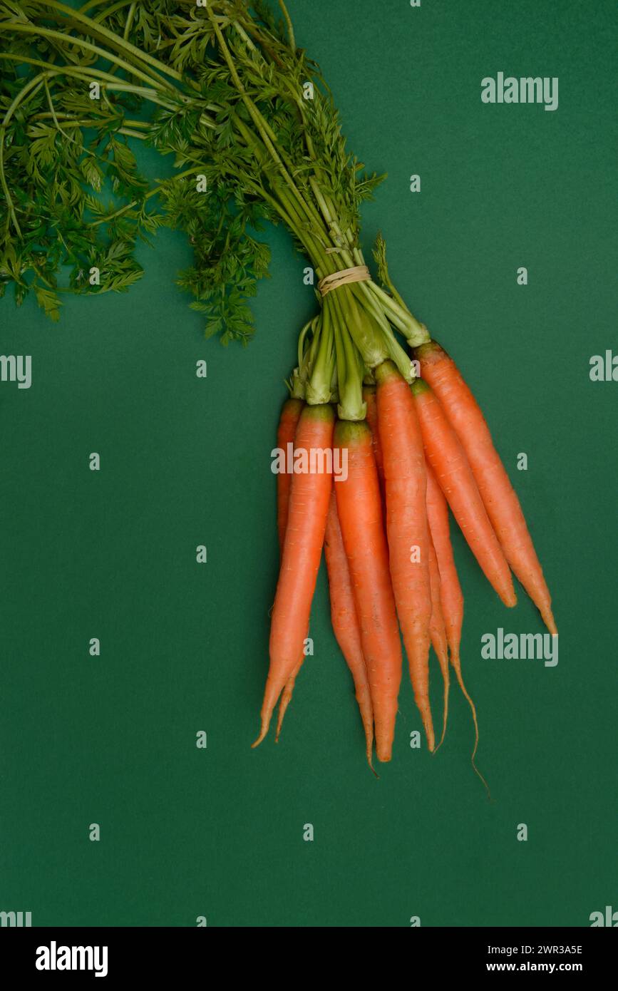 One bunch of carrot (Daucus carota Stock Photo - Alamy