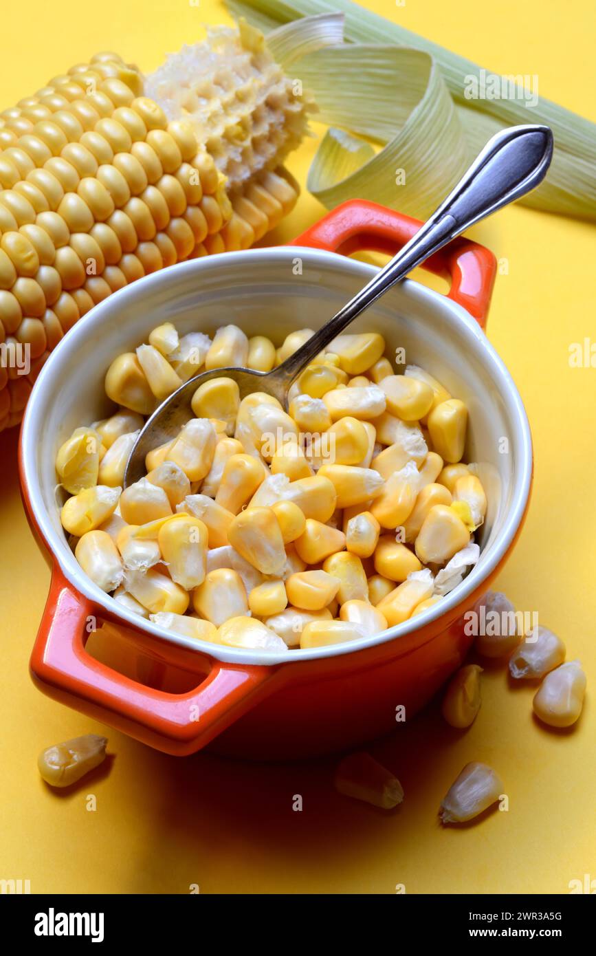 Fresh maize kernels in pots and cobs, corn (Zea mays Stock Photo - Alamy