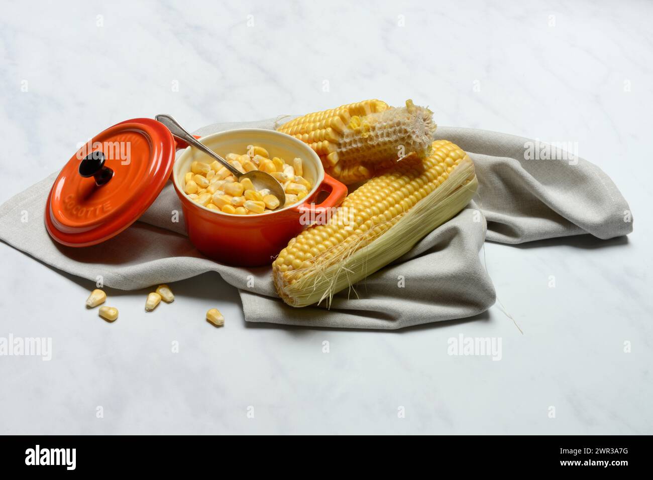 Fresh maize kernels in pots and cobs, corn (Zea mays Stock Photo - Alamy