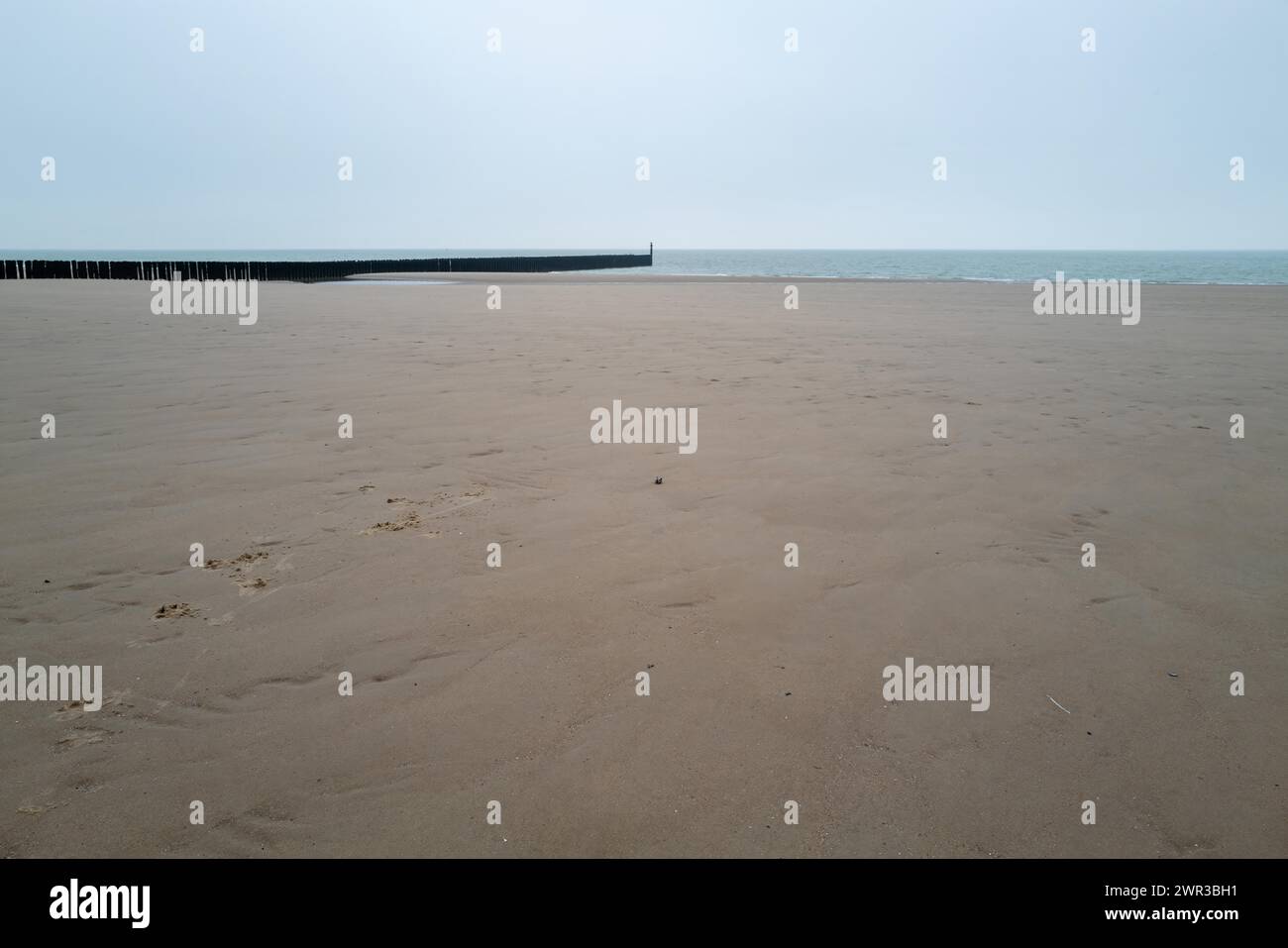Clear, wide view of a beach with breakwaters in daylight, Westkapelle ...