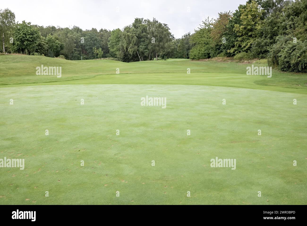 A wide view of a quiet golf course with lush green lawns and trees ...