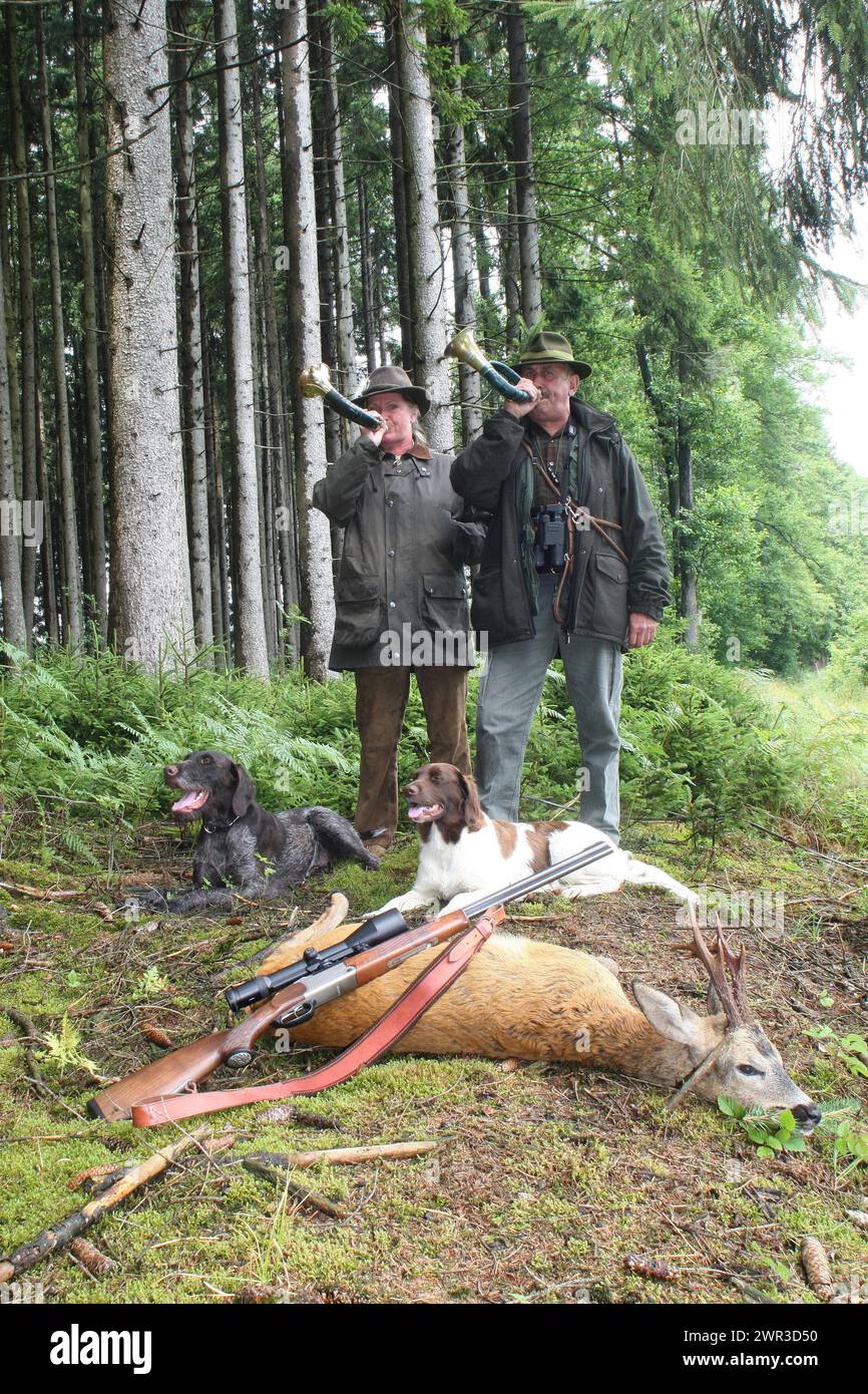 Huntsman and huntress blowing their hunting horns at a shot roebuck ...