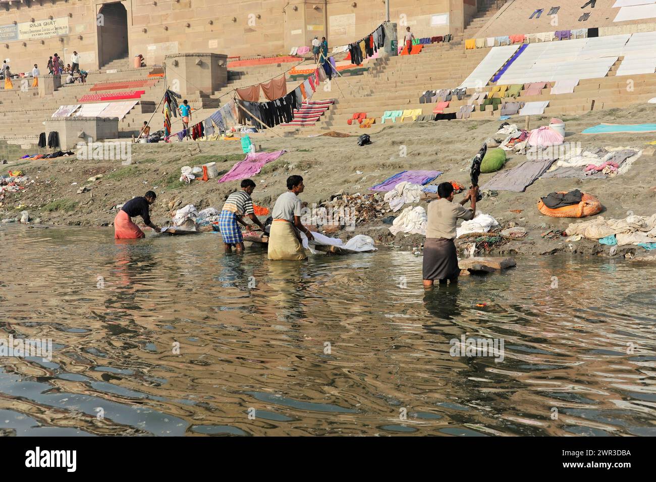 Group of people actively washing clothes in a river, Varanasi, Uttar ...