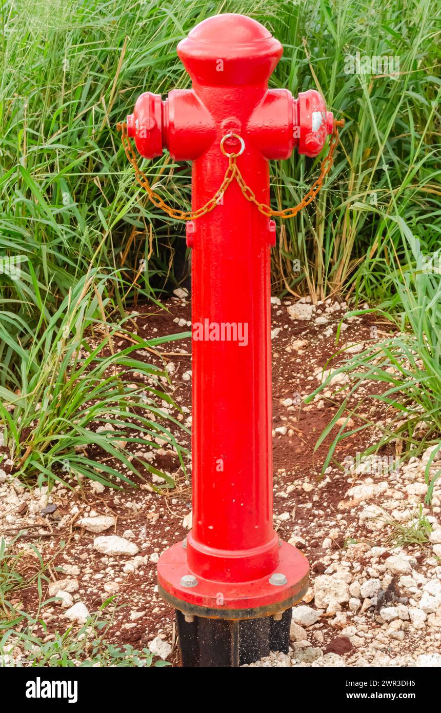 Outdoor fire site hi-res stock photography and images - Alamy