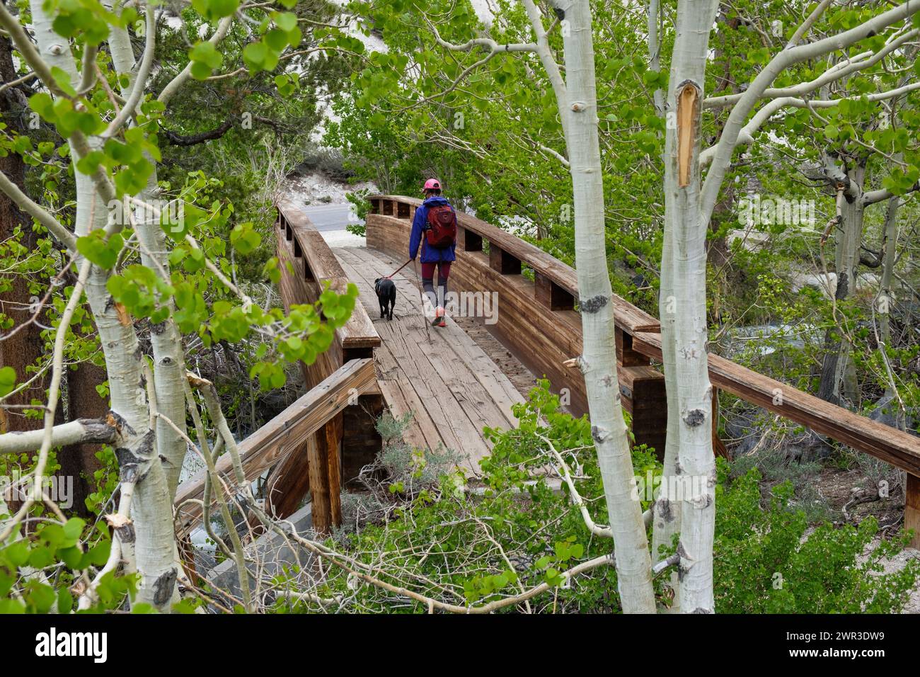 Tyee lakes trail hi-res stock photography and images - Alamy