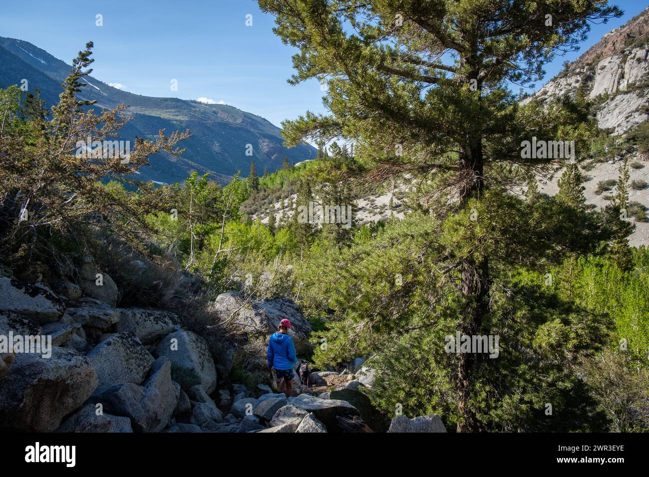 Inyo national forest hi-res stock photography and images - Alamy