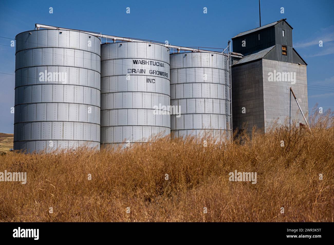 Washtucna grain growers hi-res stock photography and images - Alamy