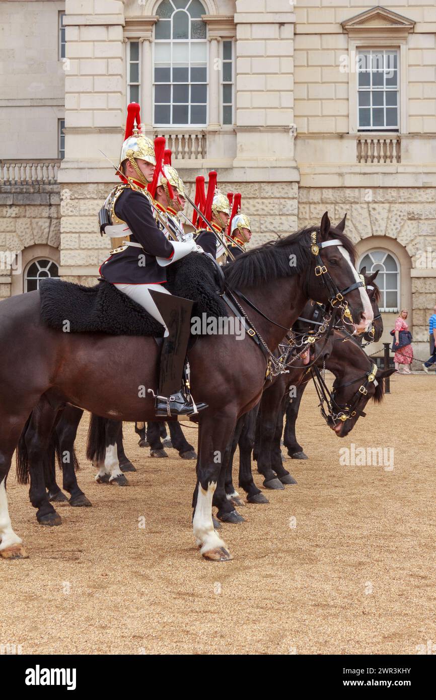 London's Queens Horse Guard in training Stock Photo - Alamy