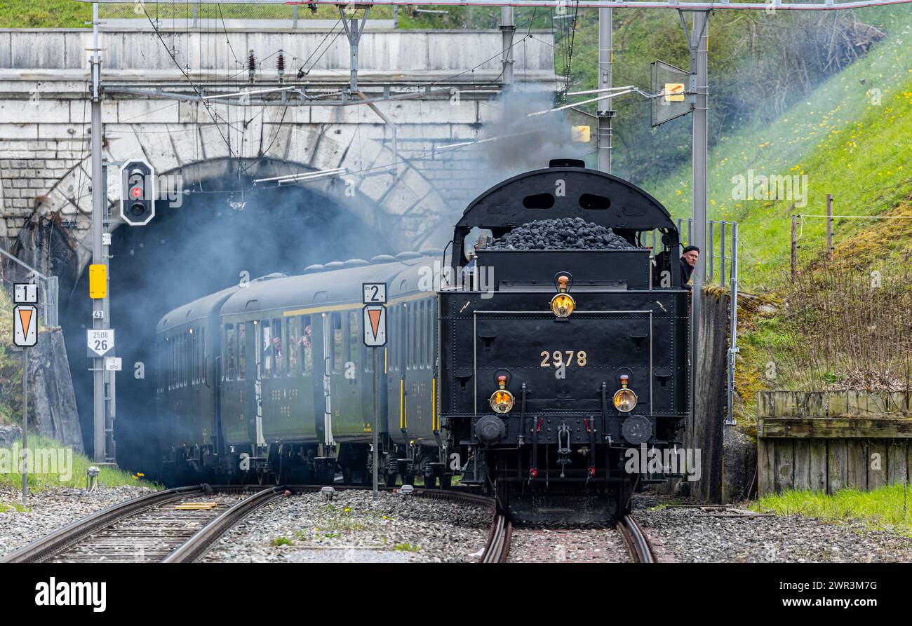 Die Dampflok SBB C 5/6 fährt auf der alten Hauensteinstrecke von Olten ...