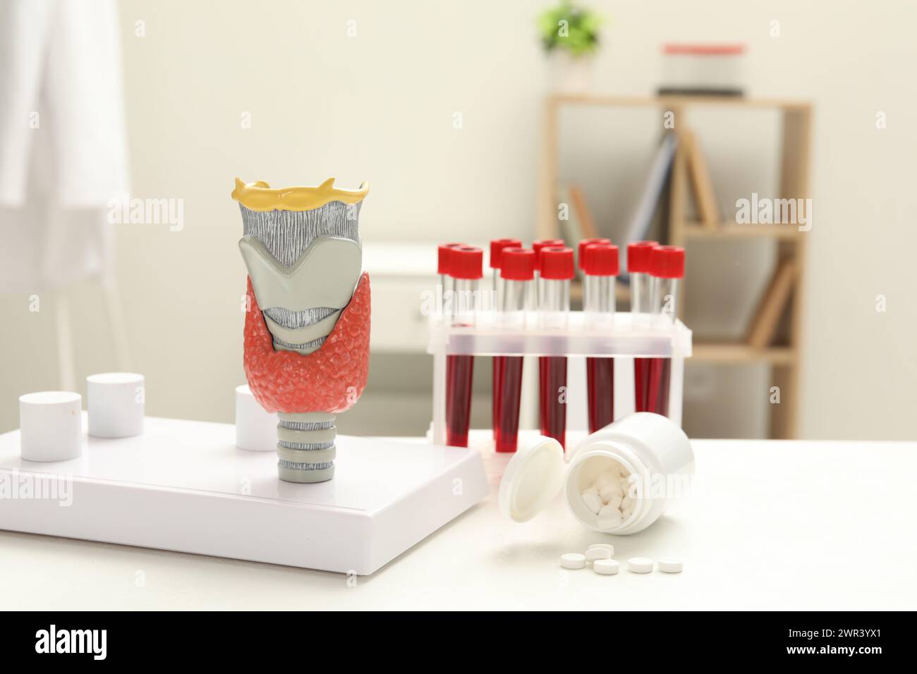 Endocrinology. Model of thyroid gland, bottle with pills and samples of ...