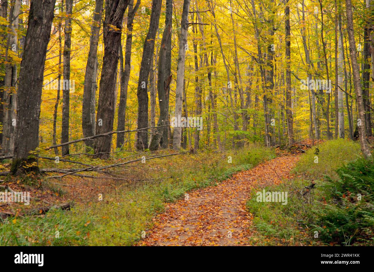 North America; United States; Michigan: Upper Peninsula; Lake Superior ...