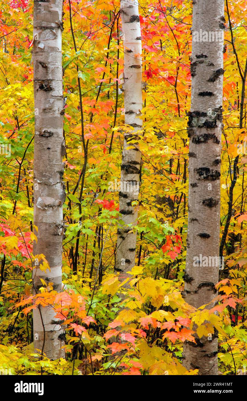 North America; United States; Michigan: Upper Peninsula; Lake Superior ...