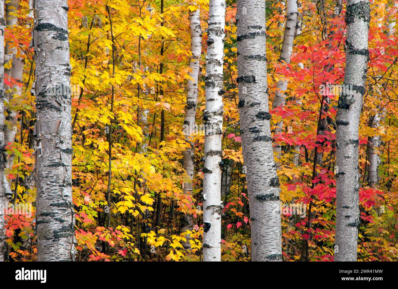 North America; United States; Michigan: Upper Peninsula; Lake Superior ...