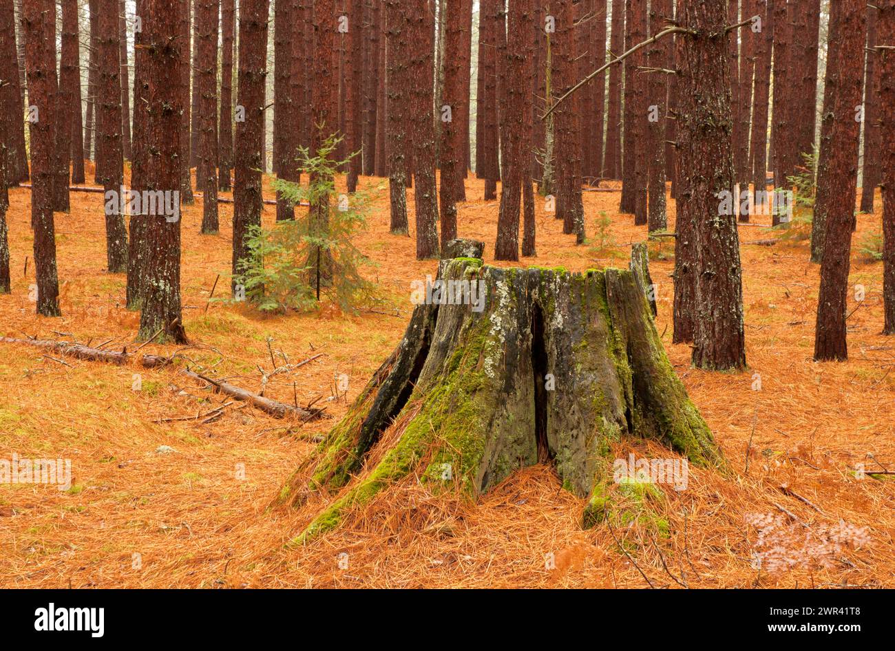 North America; United States; Michigan: Upper Peninsula; Lake Superior ...