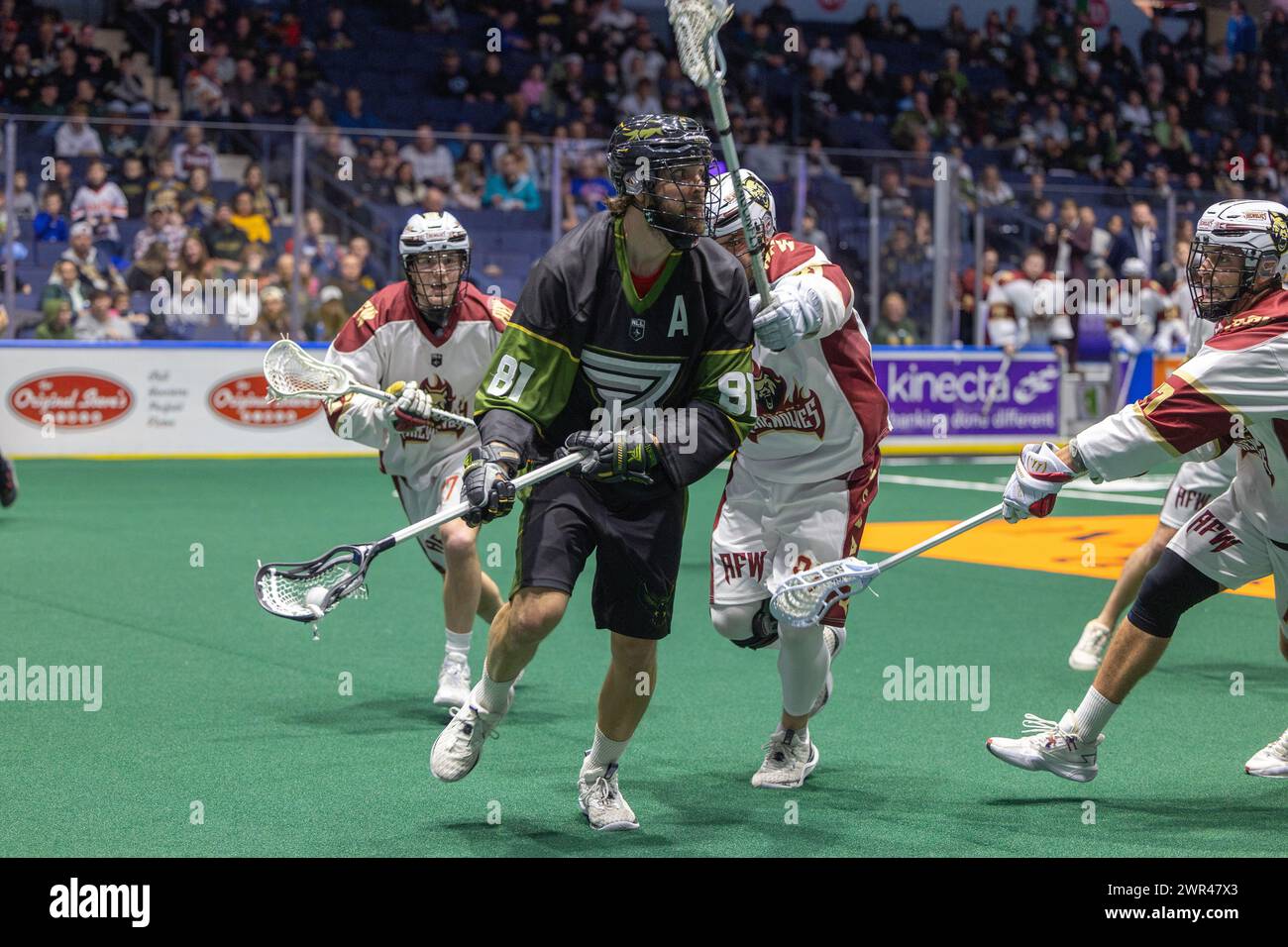 Knighthawks hi-res stock photography and images - Alamy
