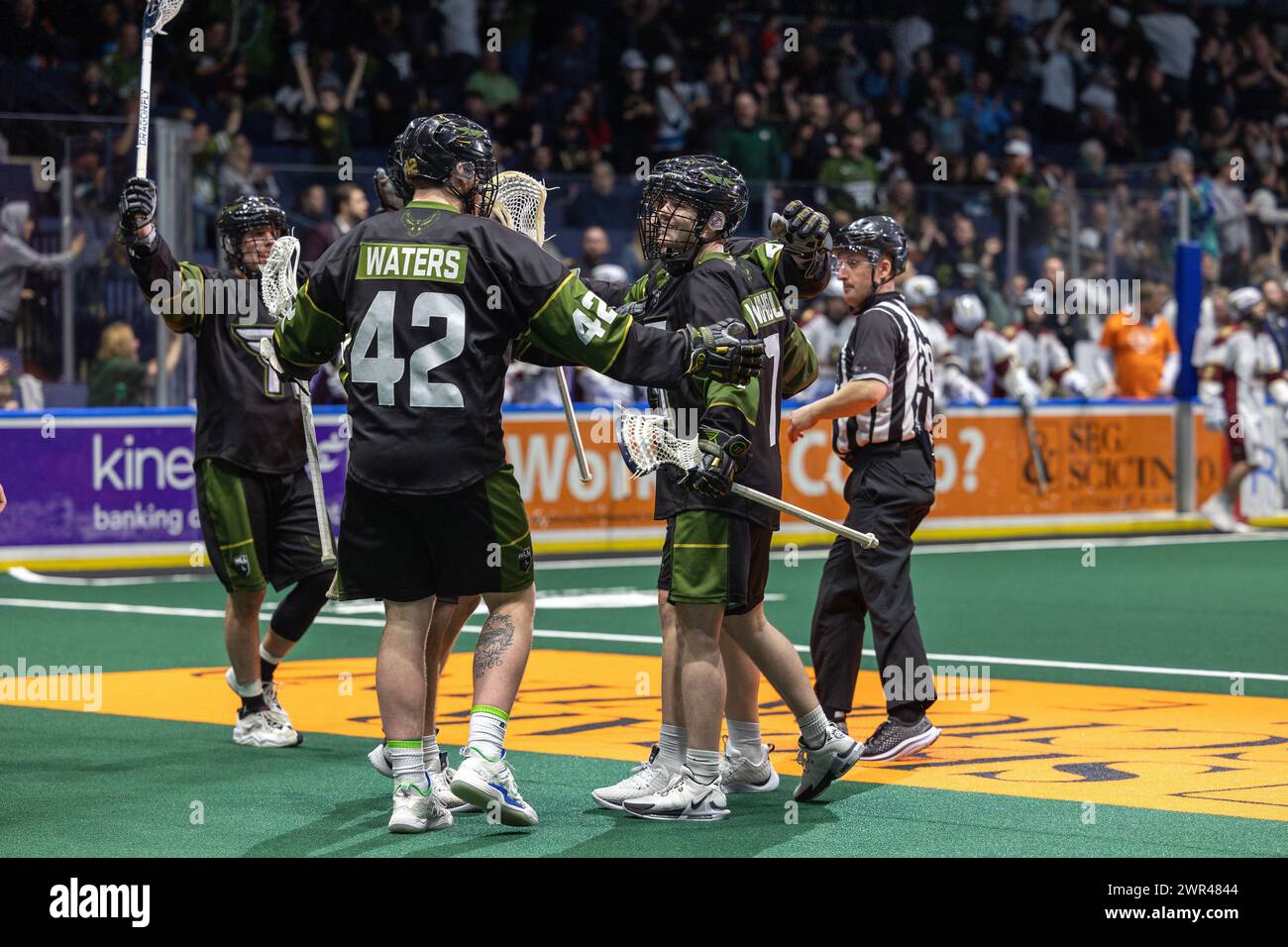 Knighthawks hi-res stock photography and images - Alamy