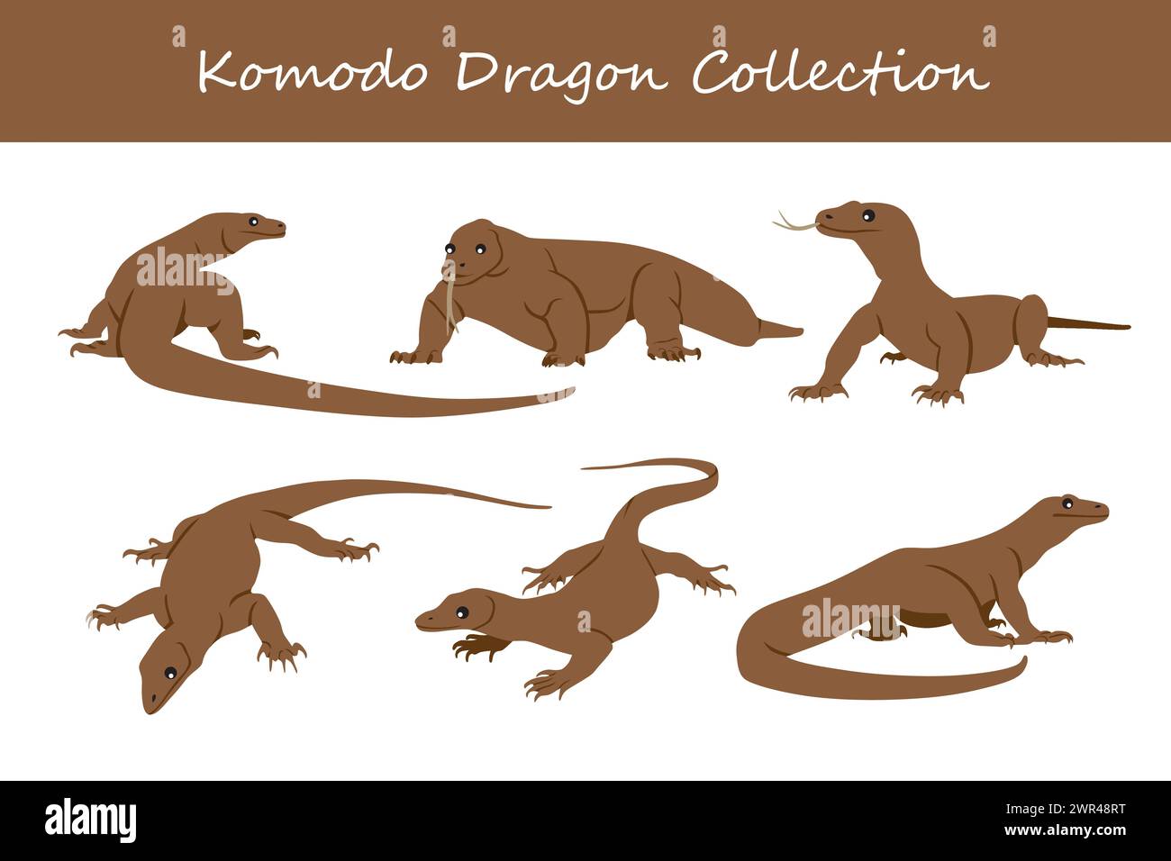 Komodo dragon vector illustration set. Cute Komodo dragon isolated on ...