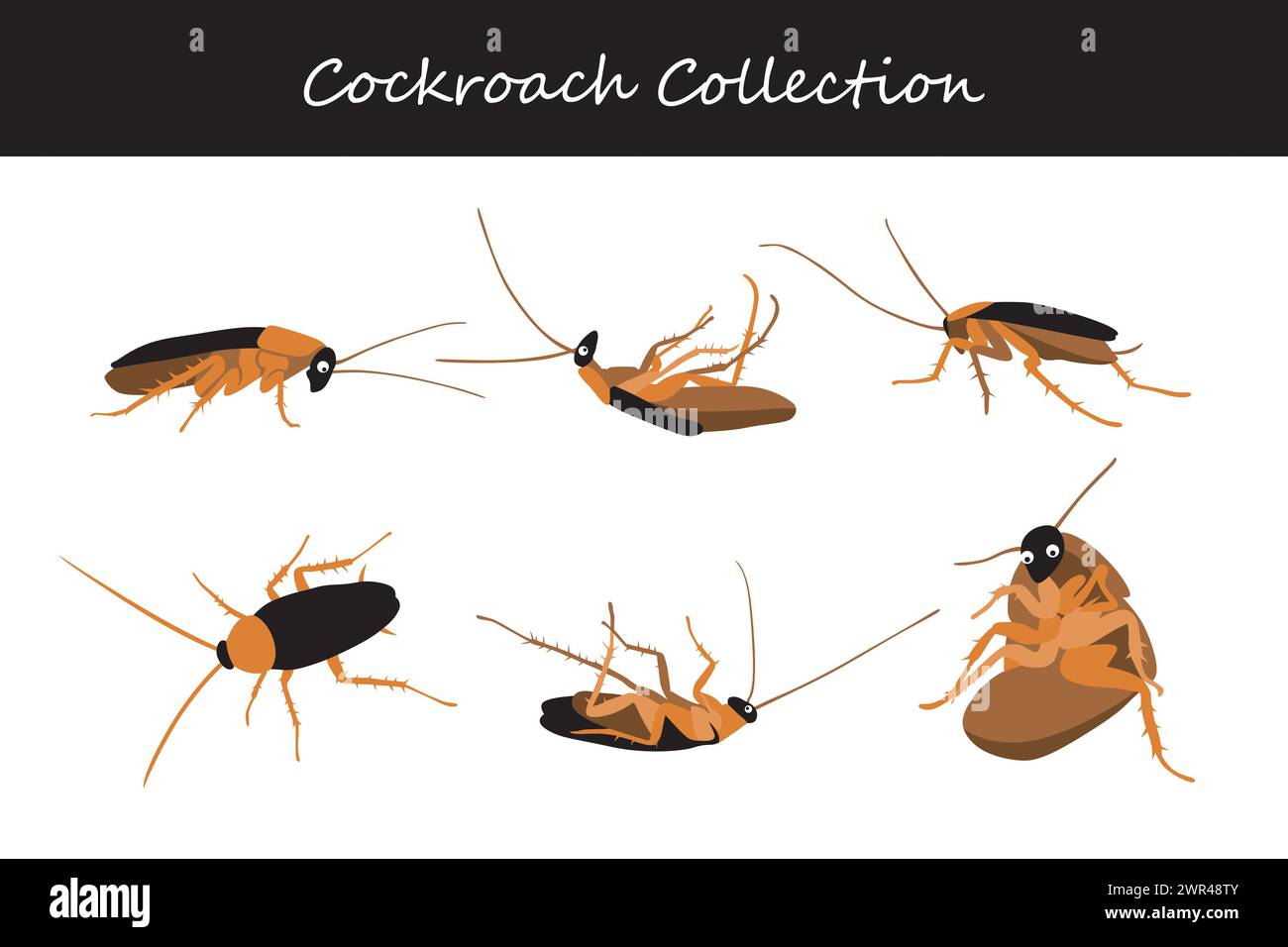 Cockroach vector illustration set. Cute cockroach isolated on white ...
