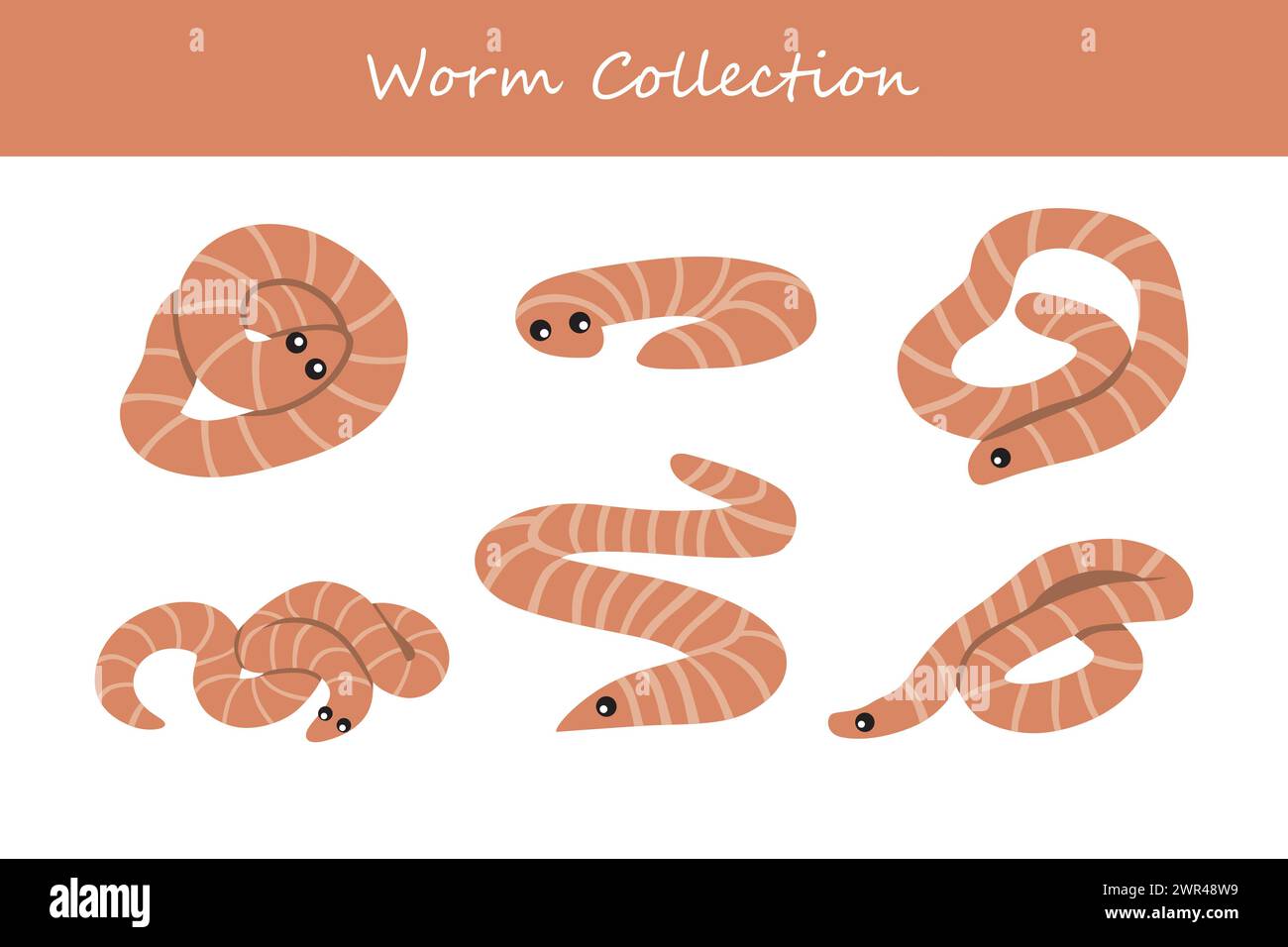 worm vector illustration set. Cute worm isolated on white background ...