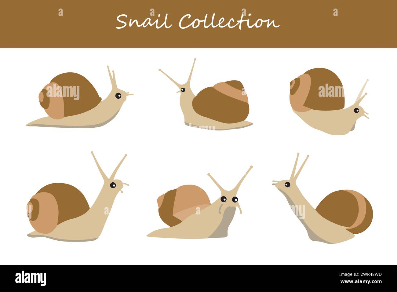 snails vector illustration set. Cute snails isolated on white background Stock Vector Image ...