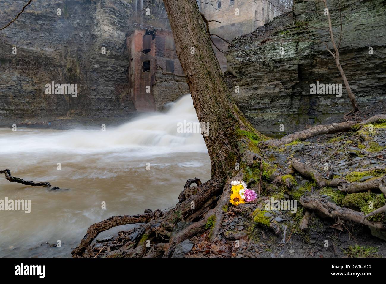 Winter abandoned Mill at Wells Falls, Businessman's Lunch Falls, on Six ...