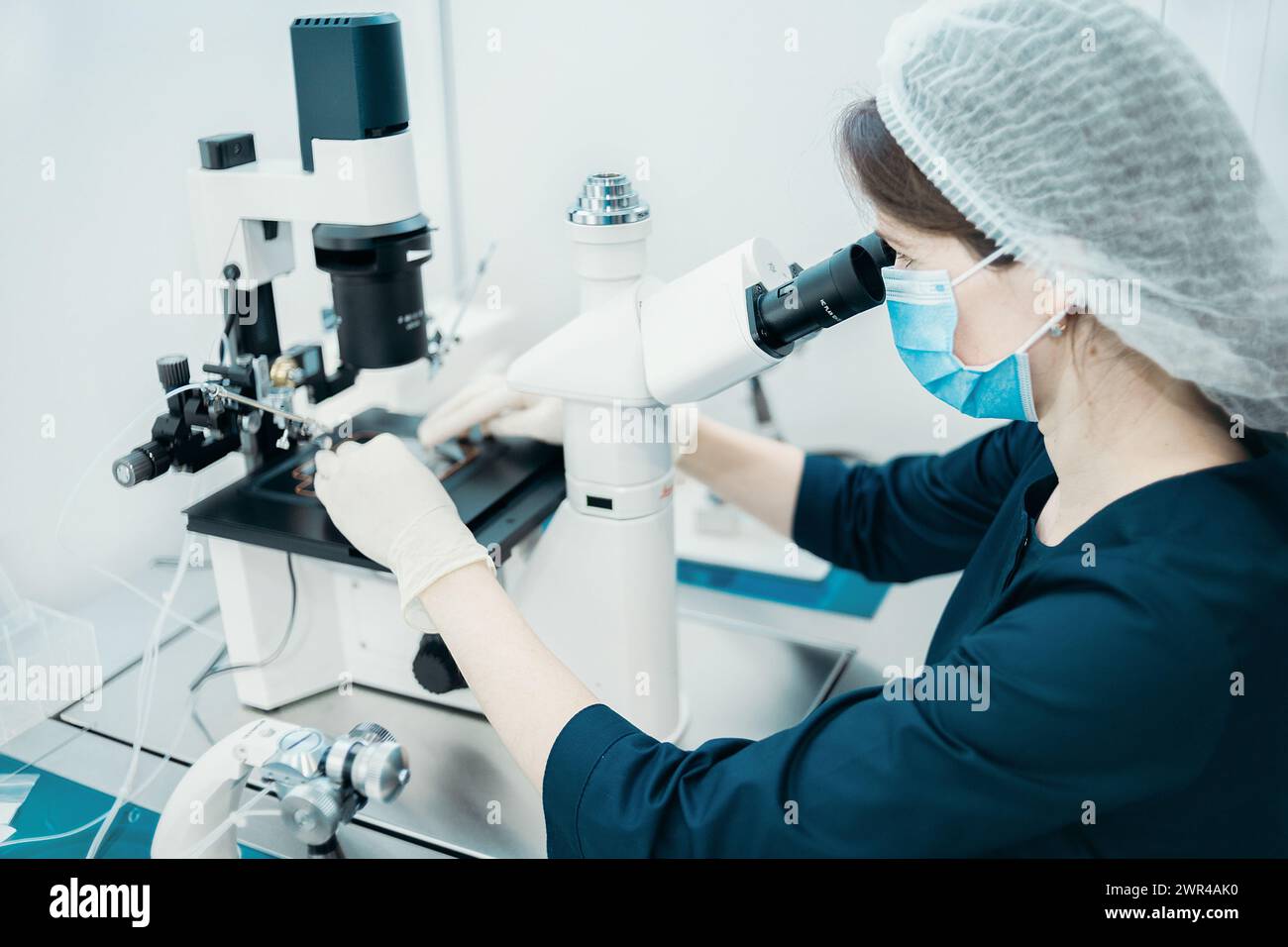 Embryology hi-res stock photography and images - Alamy