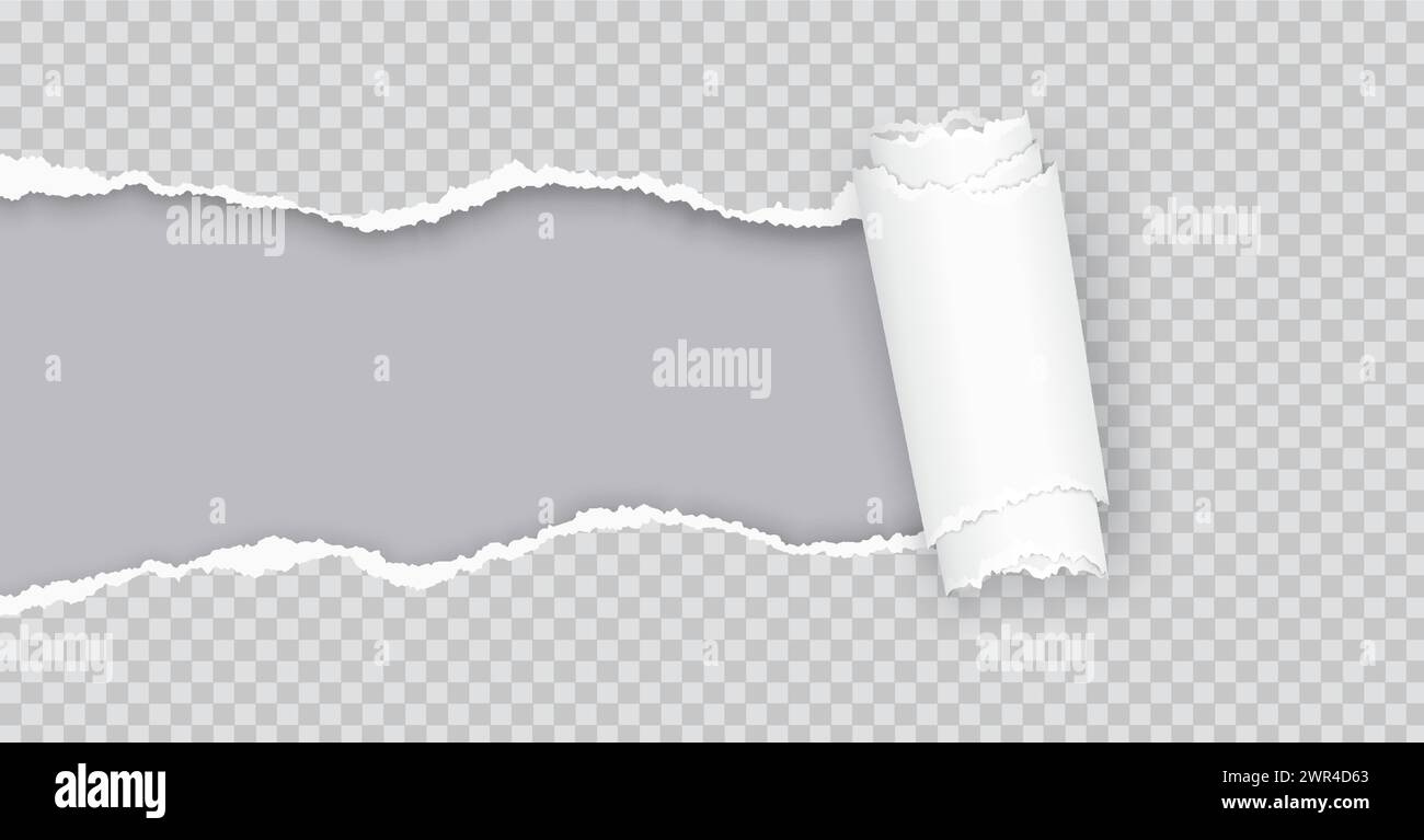 Rolled torn paper over grey realistic vector illustration. Damaged ...