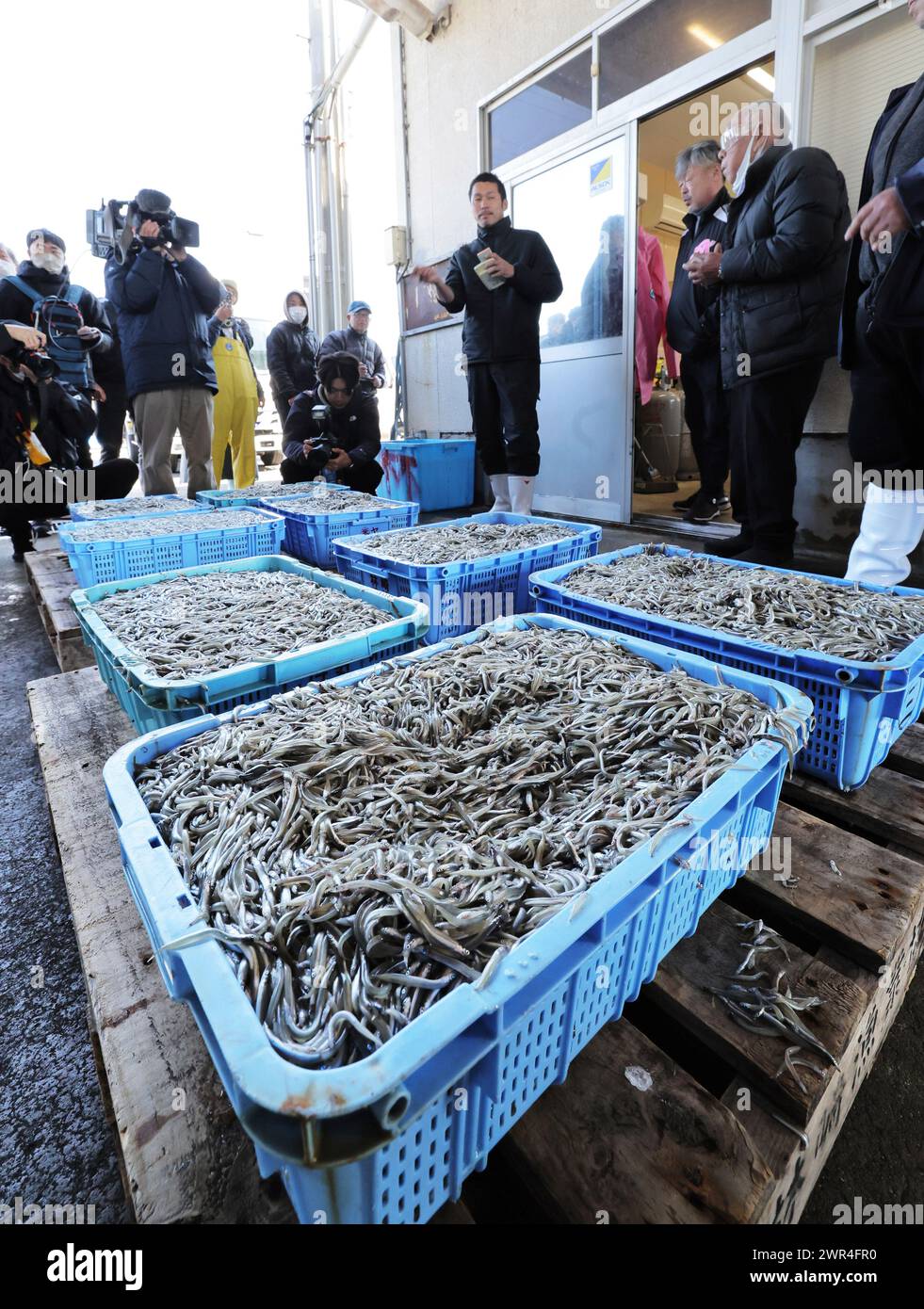 Fishermen land Shinko, fry of Japanese sand lance at the Hayashizaki ...