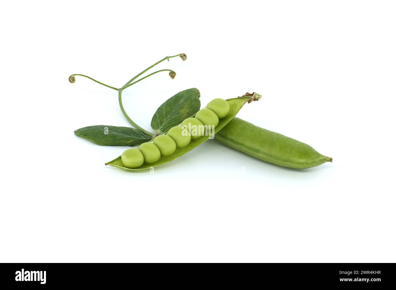 Pea pods, few peas and open pea pod and round green peas inside in ...