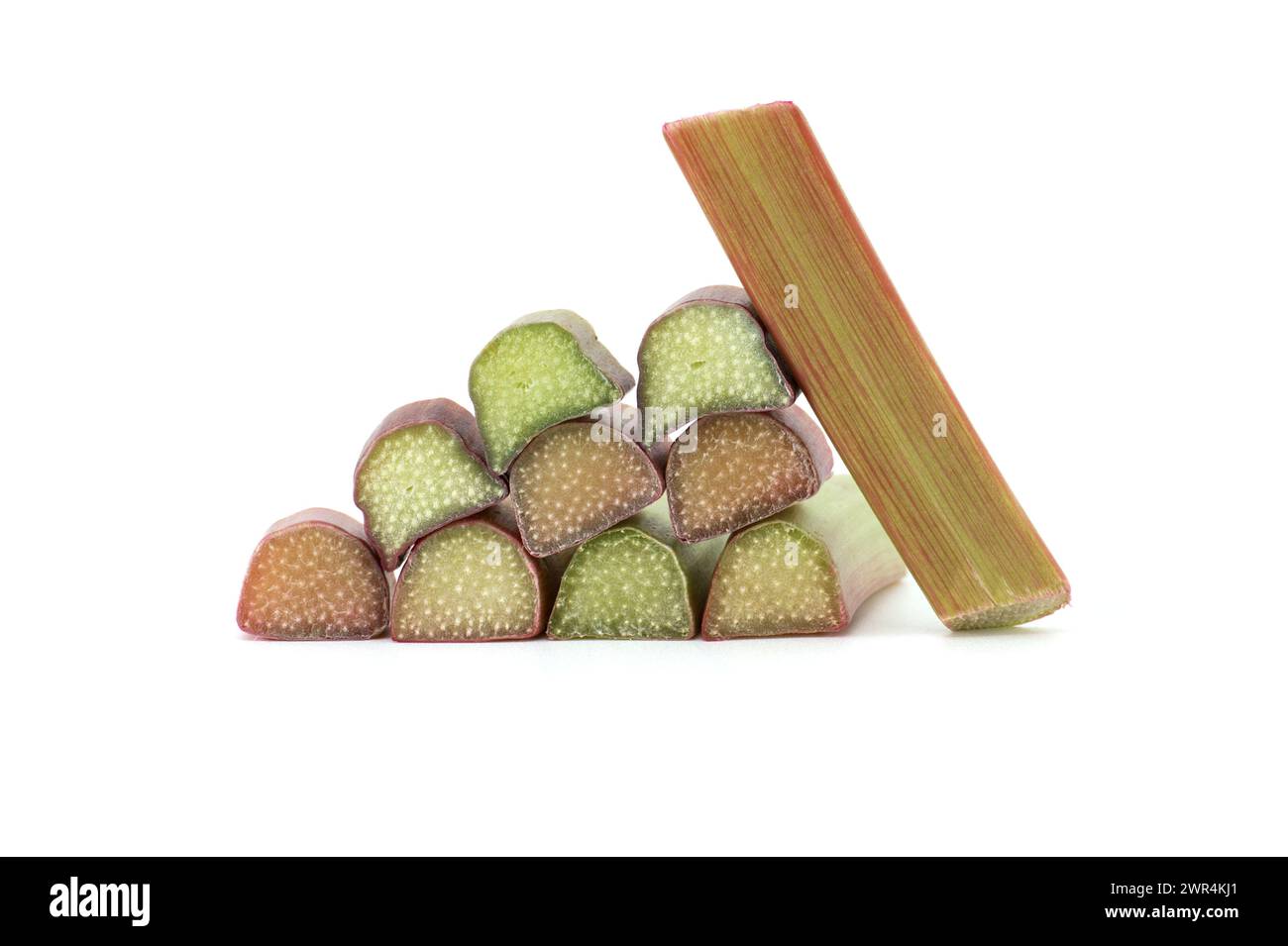 Variety of rhubarb stalks of varying colors from pale green to deep red ...