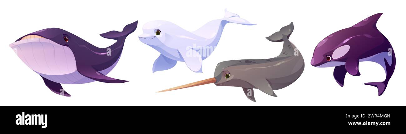 Polar water animals set isolated on white background. Vector cartoon ...