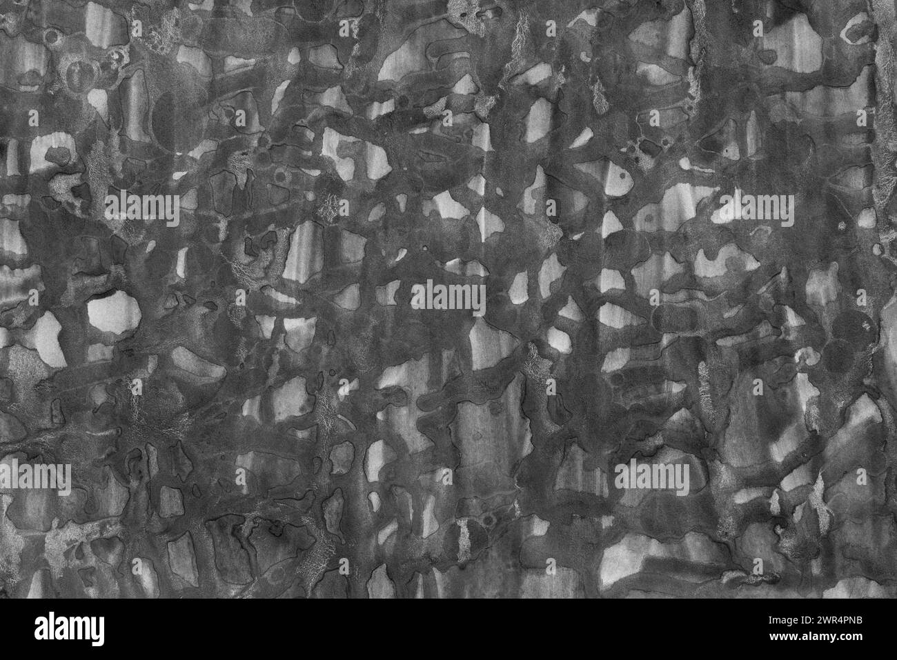 Dark gray watercolor Black and White Stock Photos & Images - Alamy