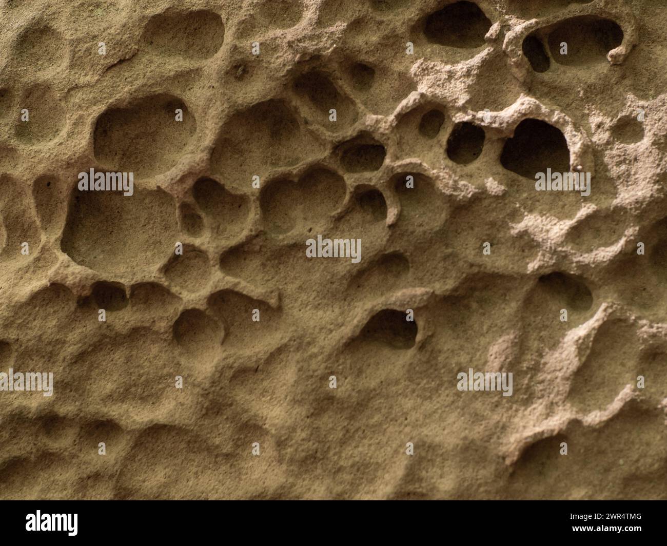 Covered with holes hi-res stock photography and images - Alamy