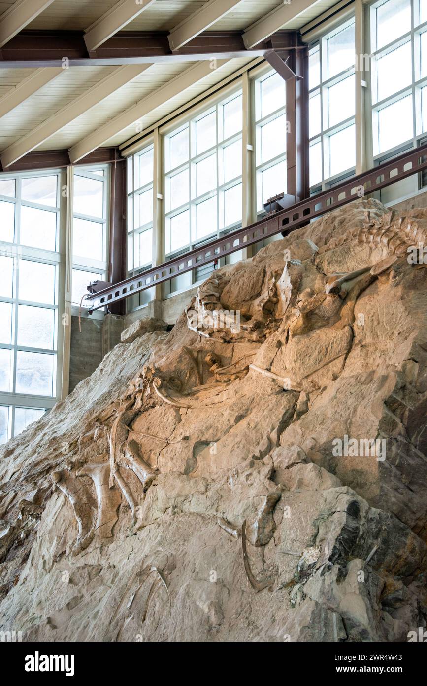 Dinosaur National Monument in Colorado Stock Photo - Alamy