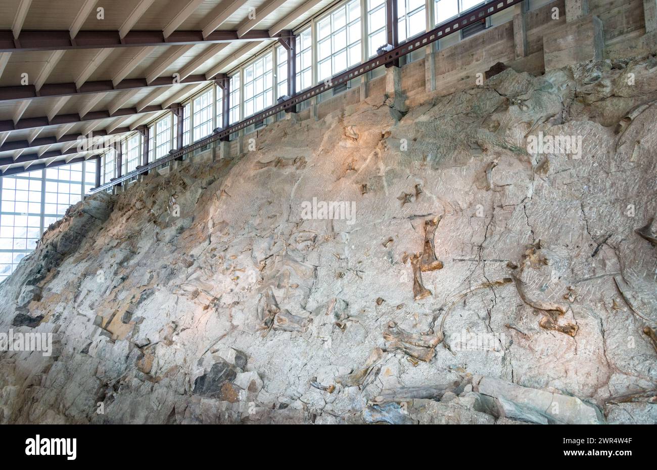 Dinosaur National Monument in Colorado Stock Photo - Alamy