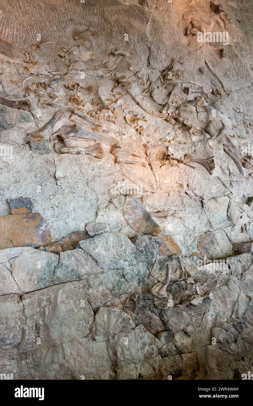 Dinosaur National Monument in Colorado Stock Photo - Alamy