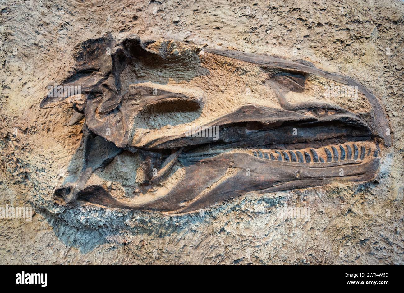 Dinosaur National Monument in Colorado Stock Photo - Alamy