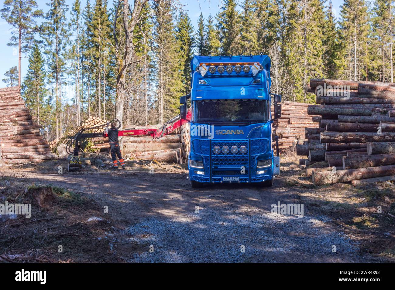 Timber truck to load timber in the forest Stock Photo - Alamy