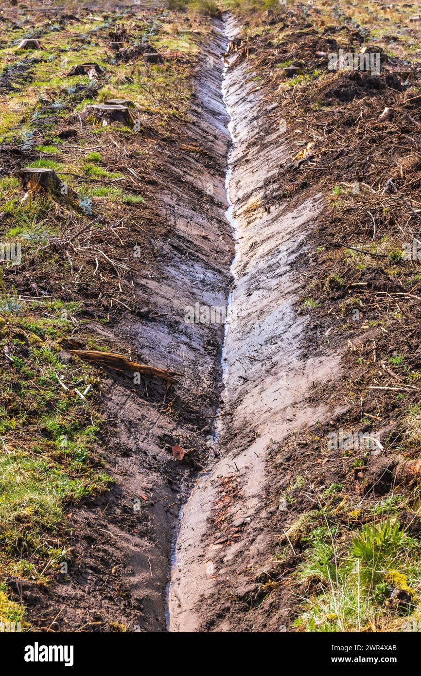 Digging drainage ditch on a clear cut Stock Photo - Alamy