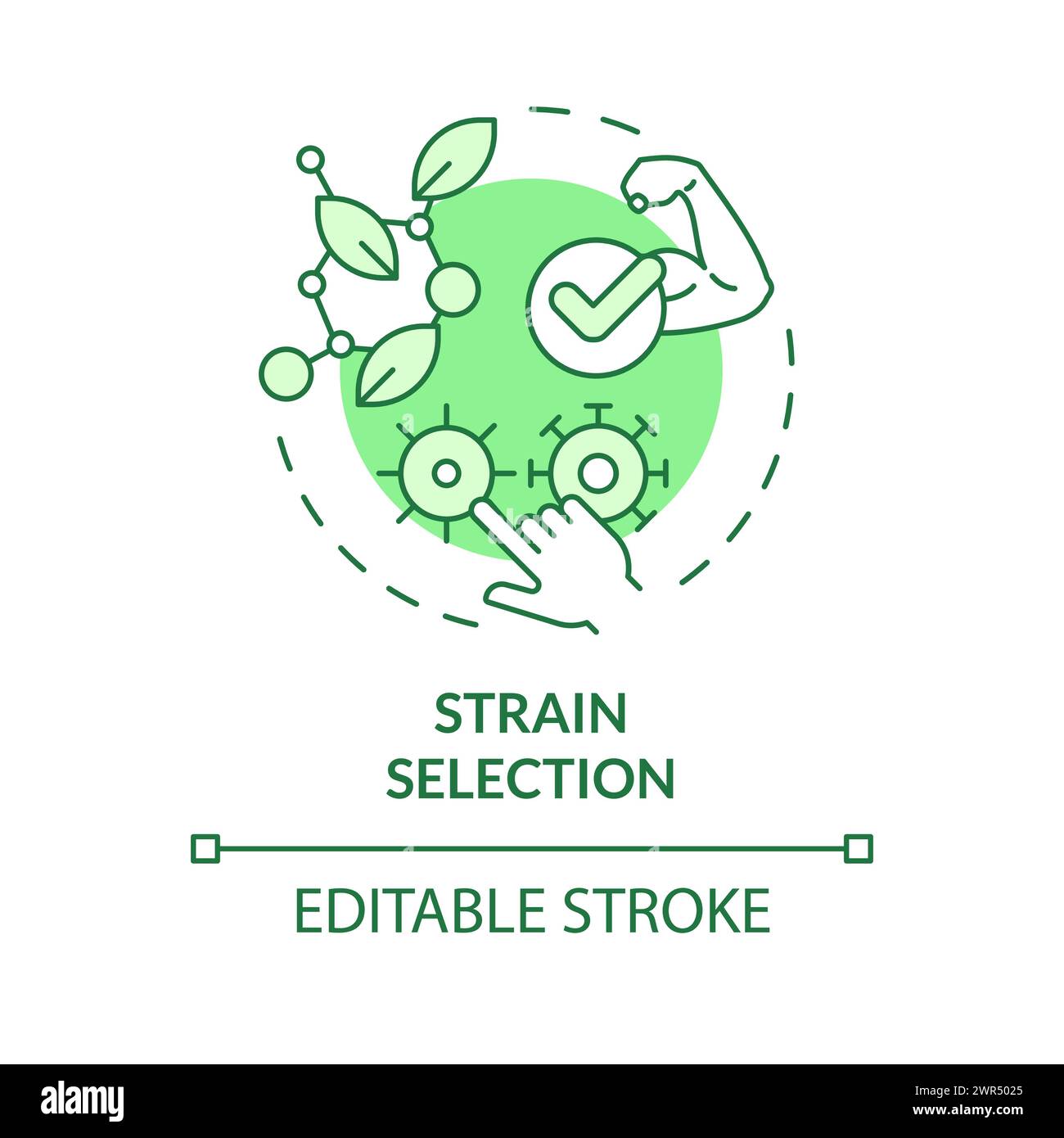 Strain selection Stock Vector Images - Alamy