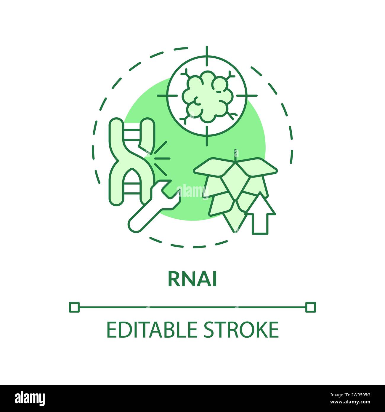 Rnai Stock Vector Images - Alamy