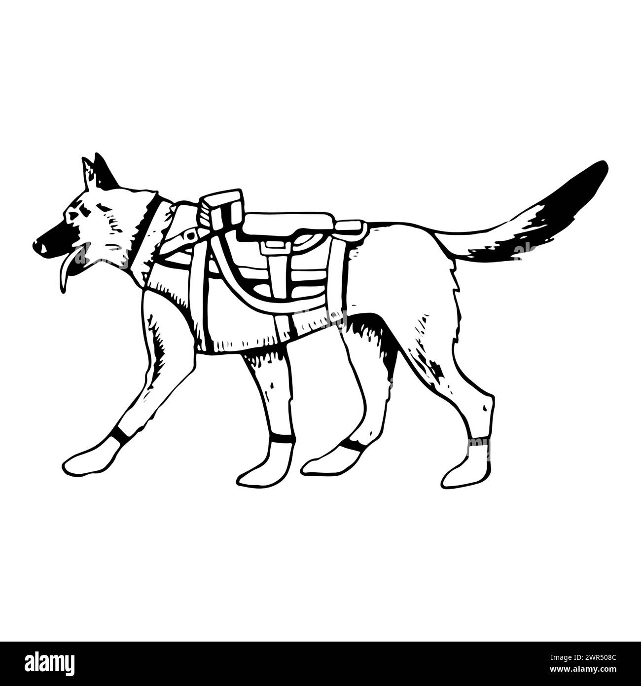 Walking K9 military dog soldier in armor vest Stock Vector Image & Art ...