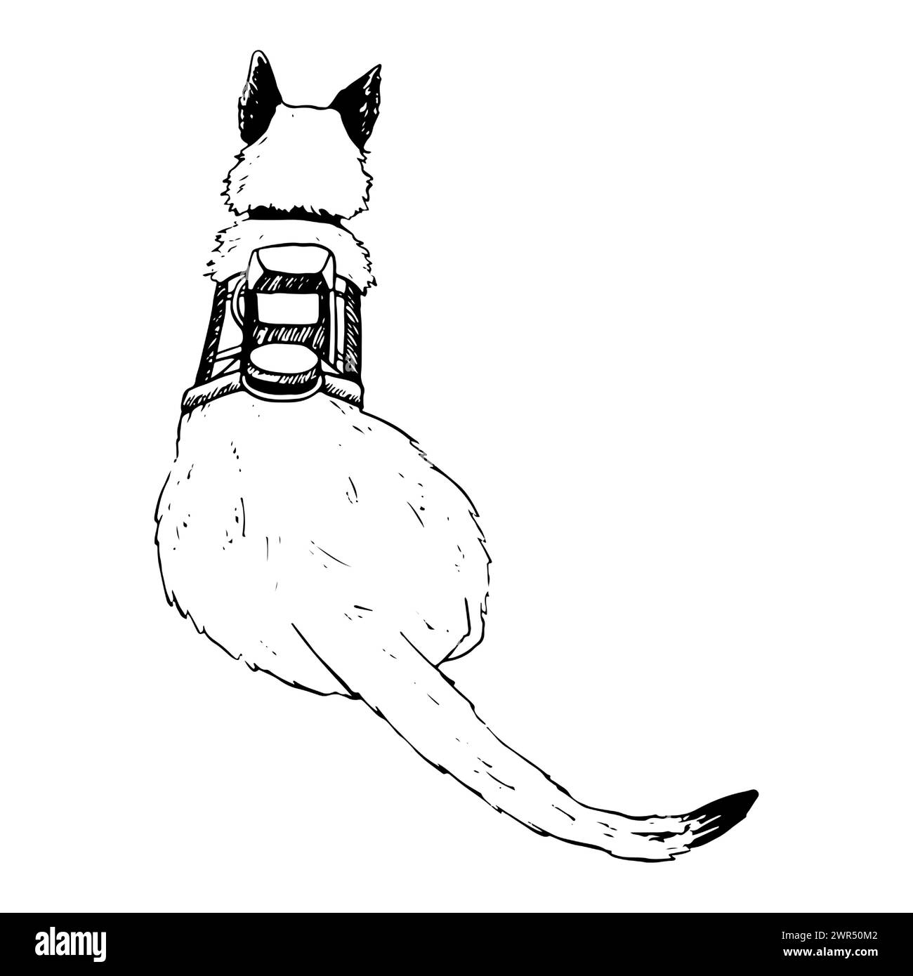 Military dog vest hi-res stock photography and images - Alamy