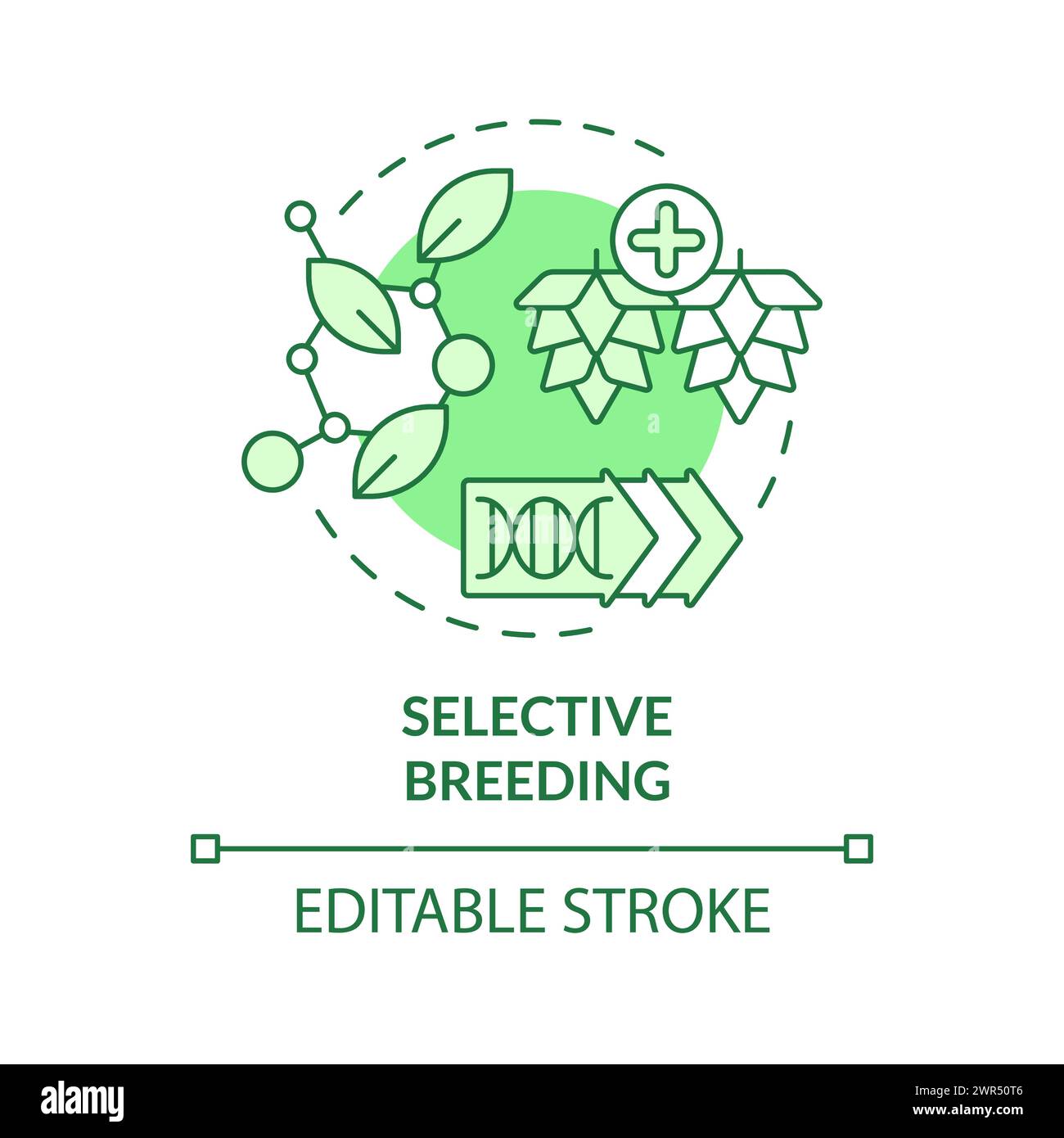 Complex breeding Cut Out Stock Images & Pictures - Alamy