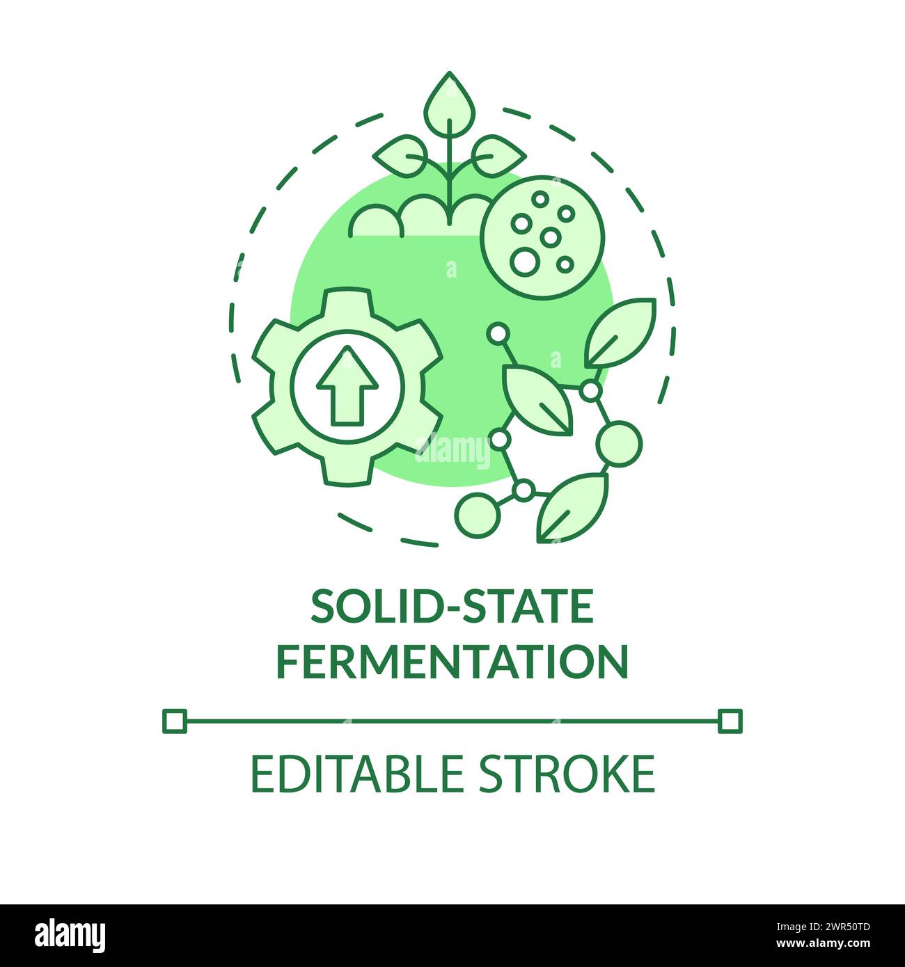 Solid State Fermentation Green Concept Icon Stock Vector Image And Art Alamy